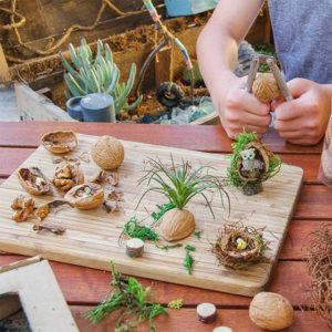 6 Walnut Crafts to Try with the Kids This Summer - California Walnuts