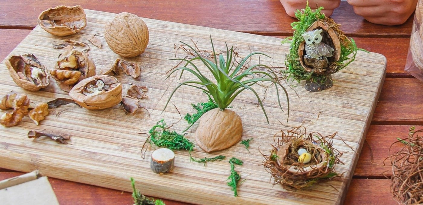 Creative Crafting with California Walnuts - California Walnuts